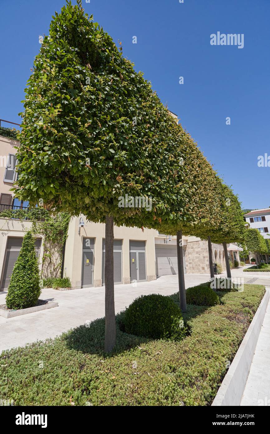 Topiary gardening hi-res stock photography and images - Alamy