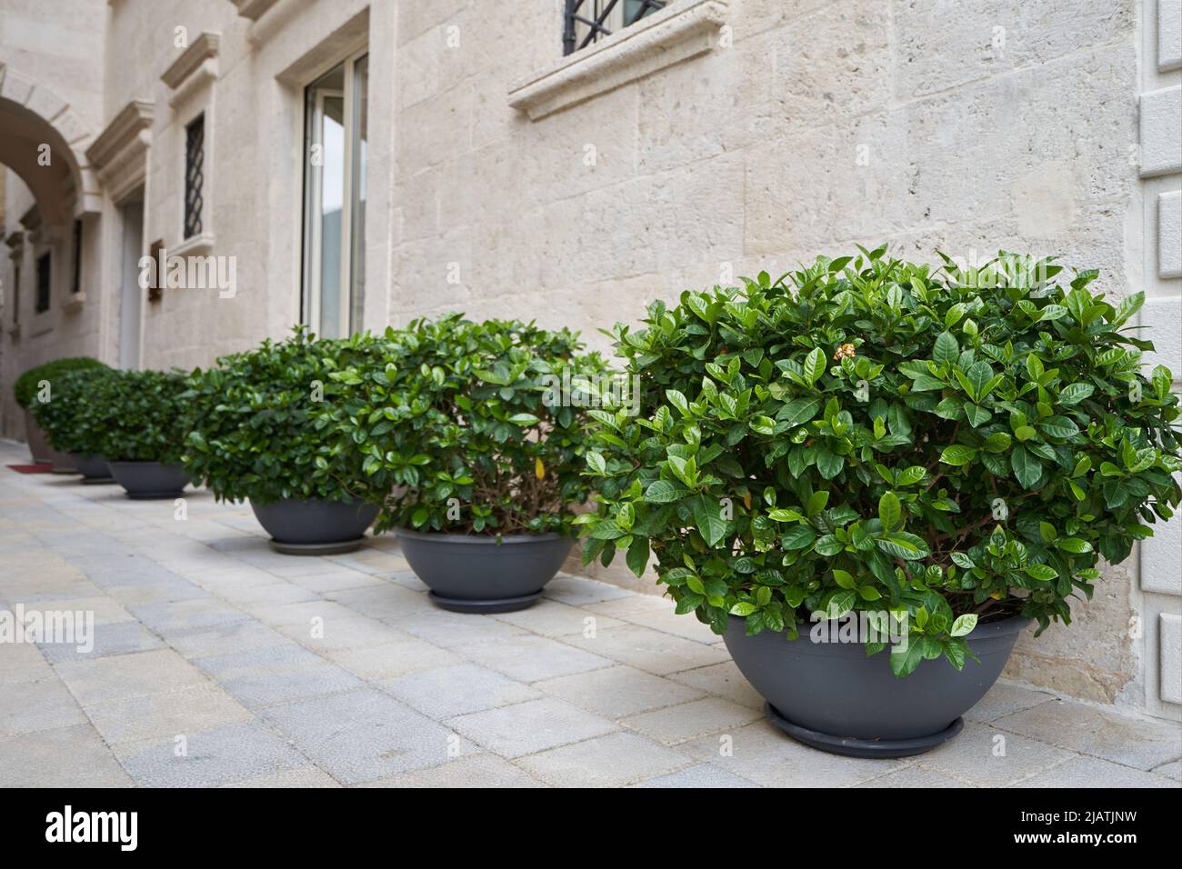Building greenery hi-res stock photography and images - Alamy
