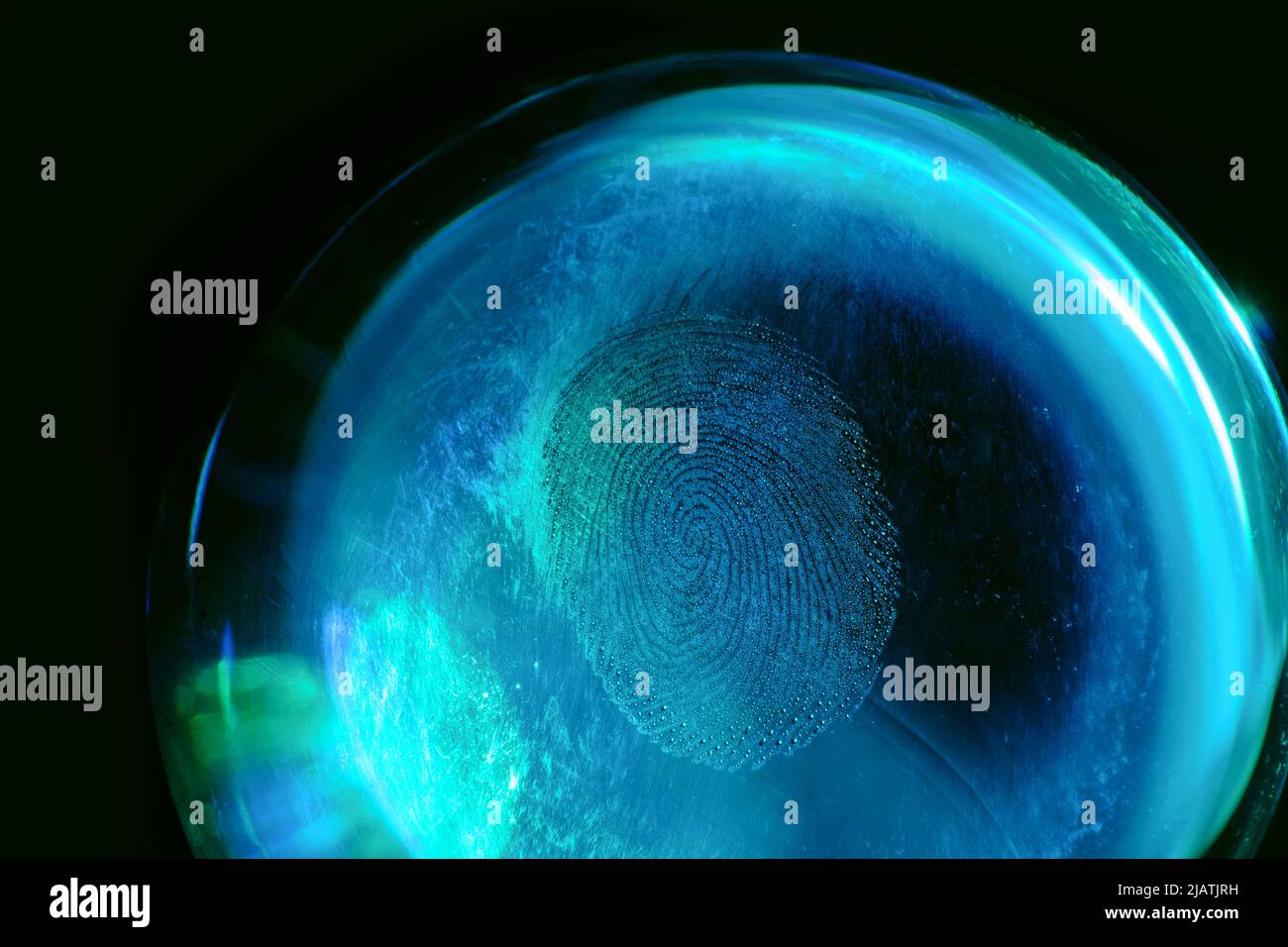 Beautiful abstract blue colored fingerprint on background texture for ...