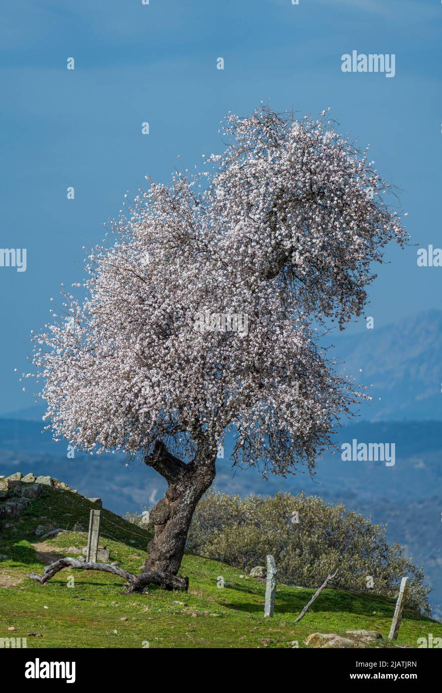 Hill fencing hi-res stock photography and images - Alamy