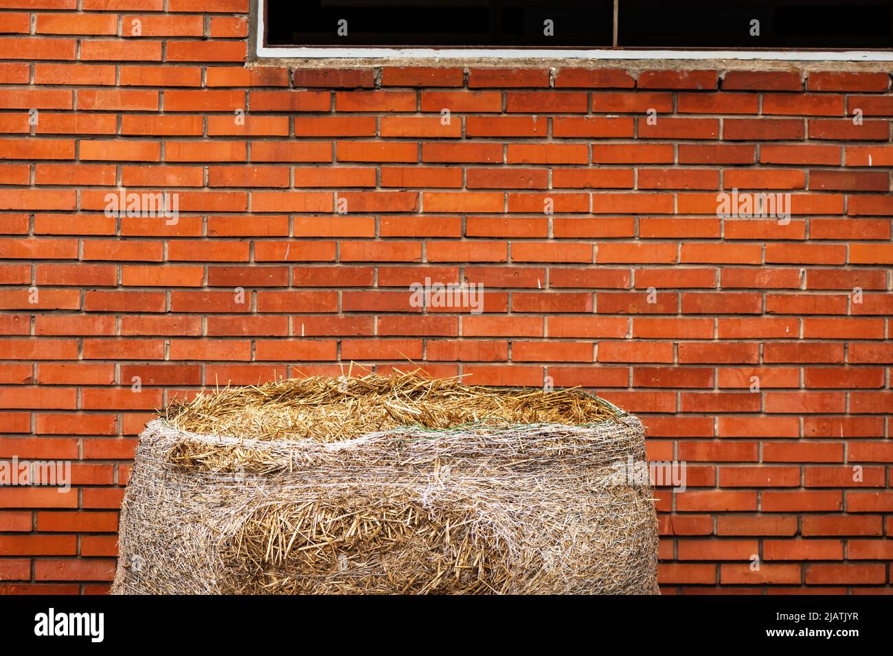 Hay bale against red brick wall on the ranch, agriculture and farming ...
