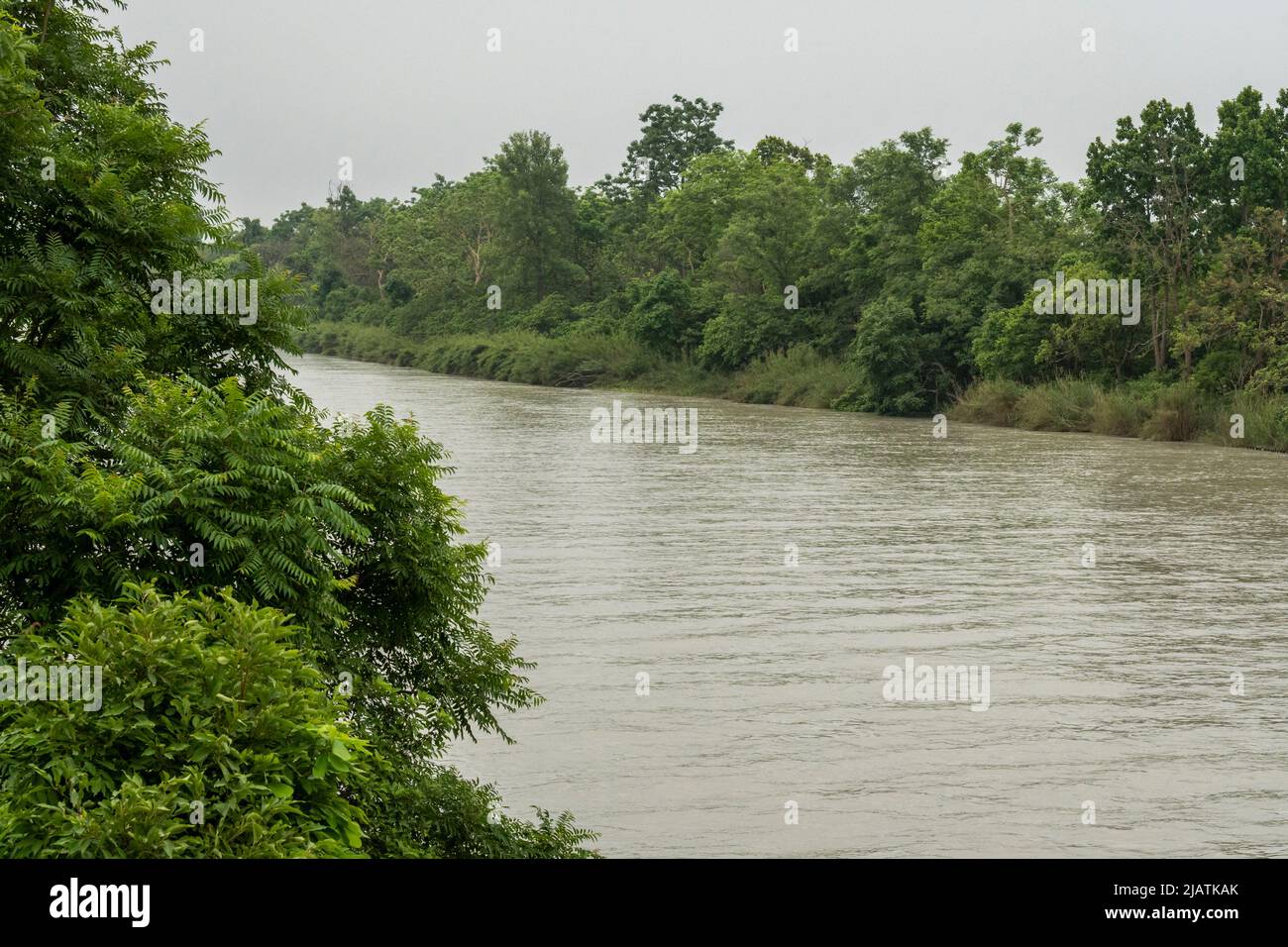 view of dense forest and sharda or sarda river flowing in pilibhit ...