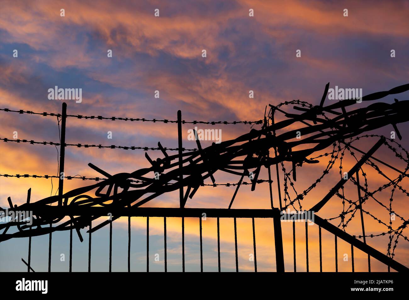 Сontour of barbed wire on the background of the sunset orange sky Stock ...