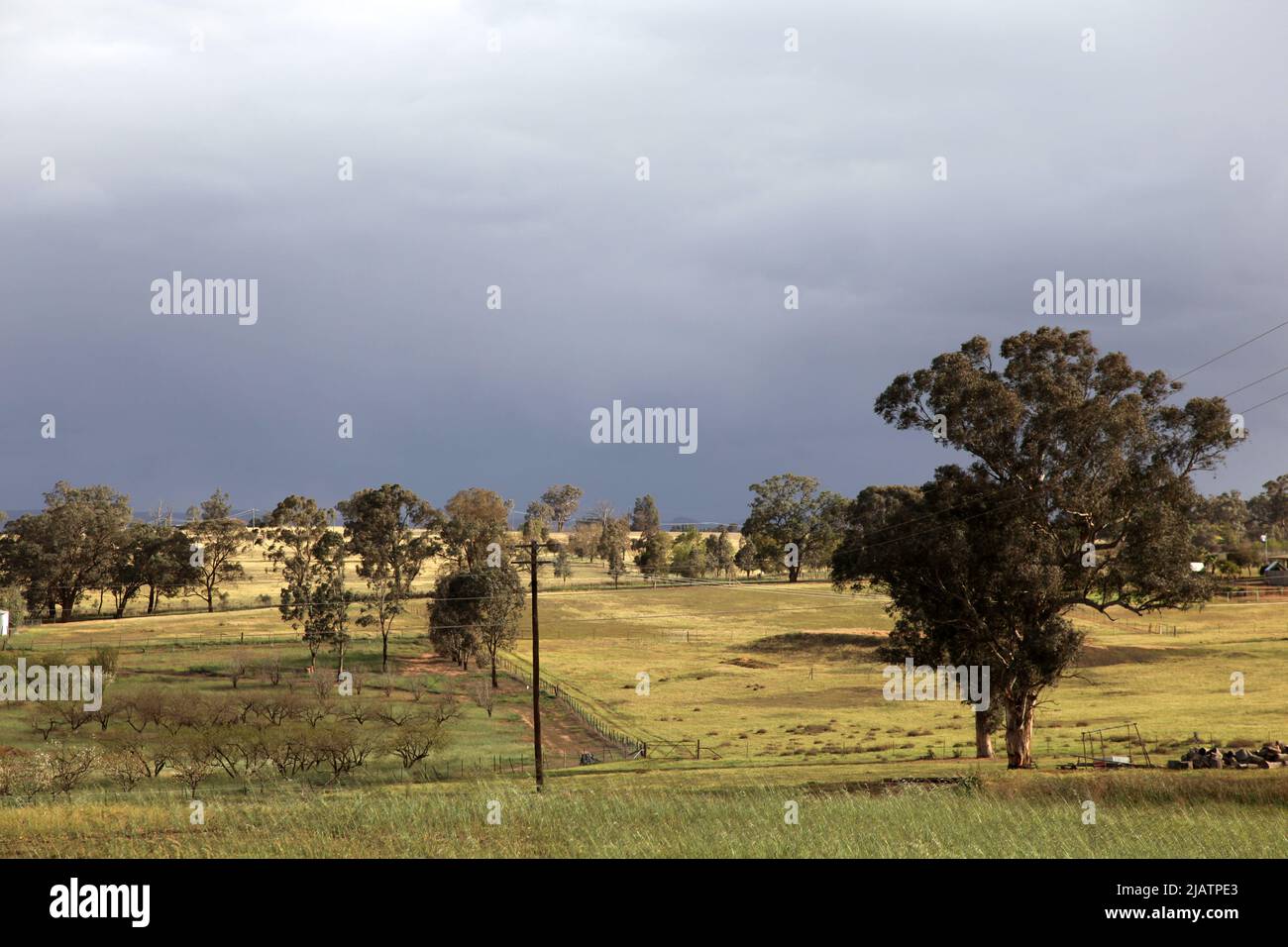 An Australian country landscape. Cowra - Central New South Wales ...