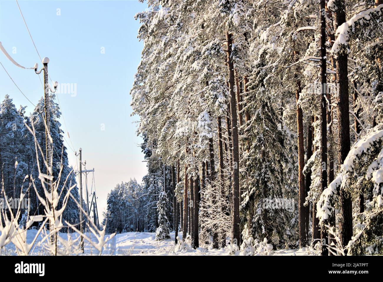 The beautiful nature of Latvia Stock Photo - Alamy