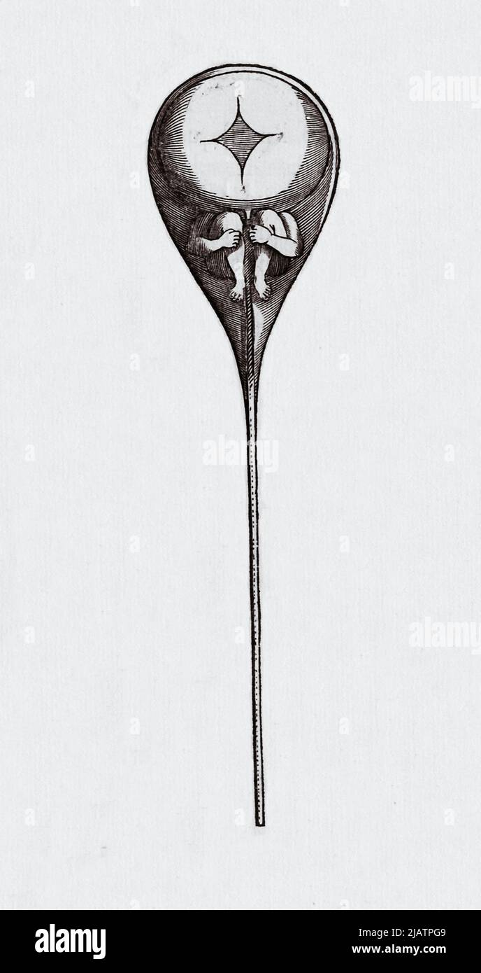 Drawing of homunculus by Hartsoeker 1694 Stock Photo - Alamy