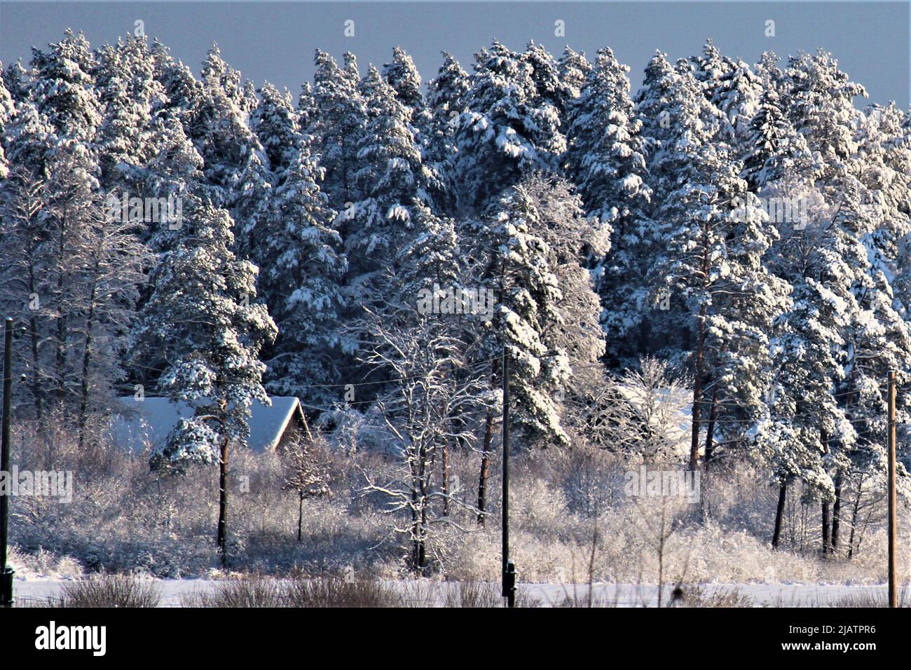 The beautiful nature of Latvia Stock Photo - Alamy