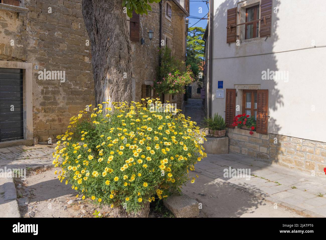 Streets of Groznjan town in Istra, Croatia Stock Photo - Alamy