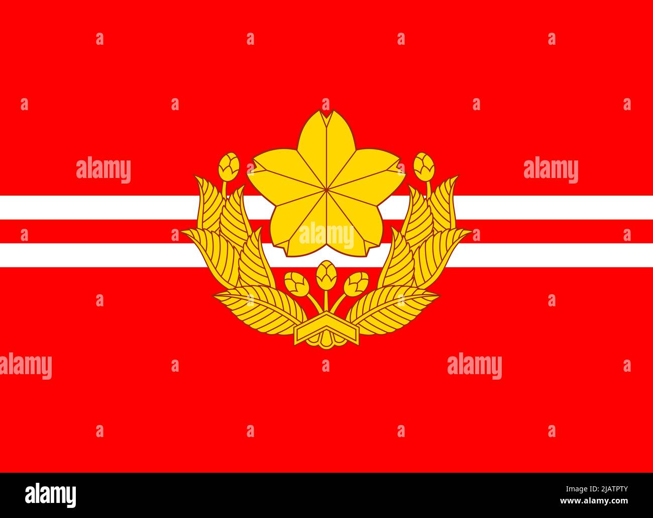 Top view of flag Infantry Battalion of the Ground Self Defense Force ...