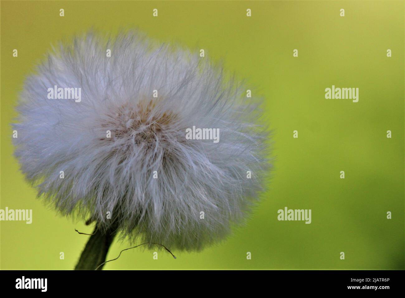 The beautiful nature of Latvia Stock Photo - Alamy