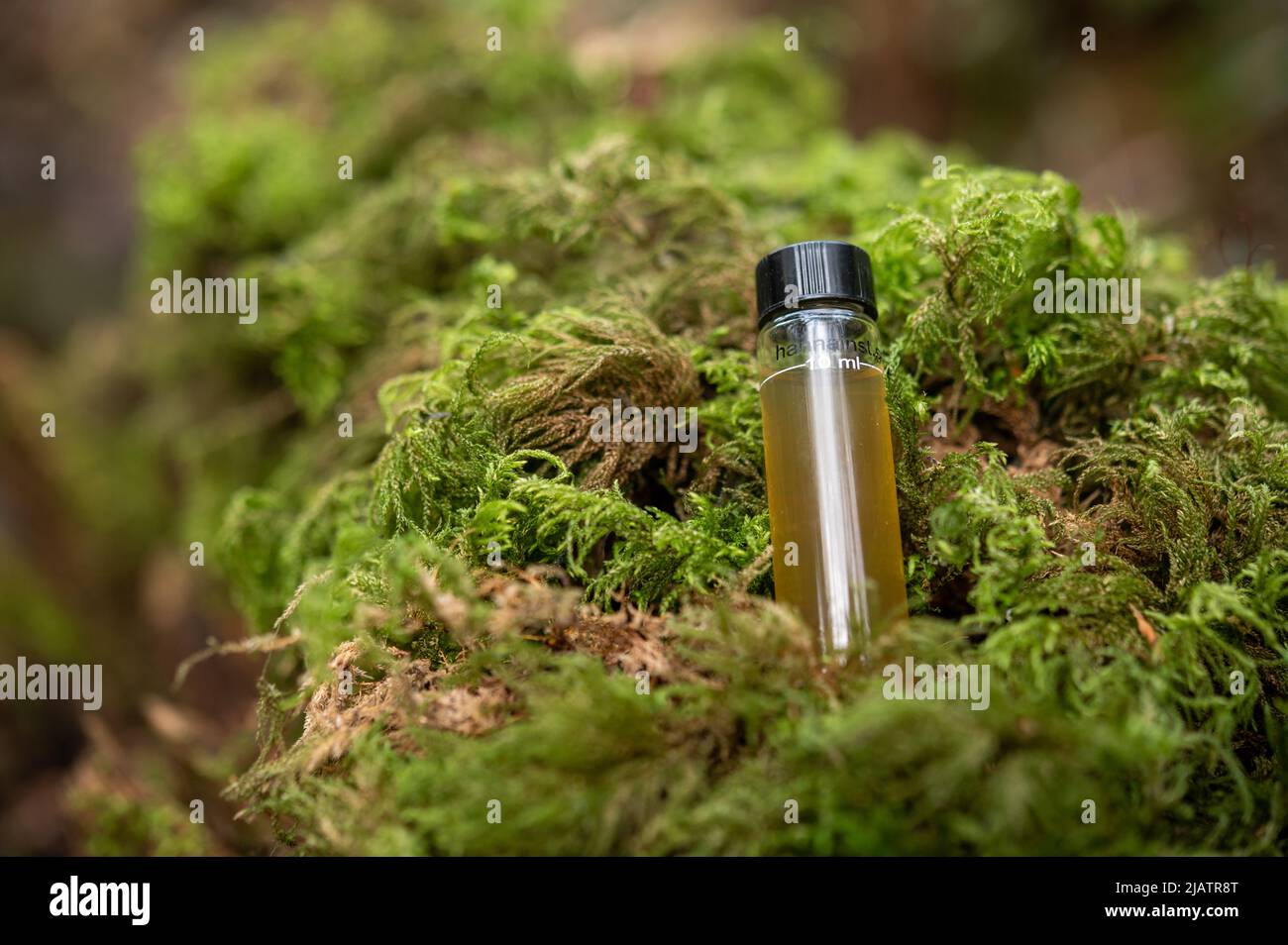 Brown coloured water sample in cuvette from polluted stream Stock Photo ...