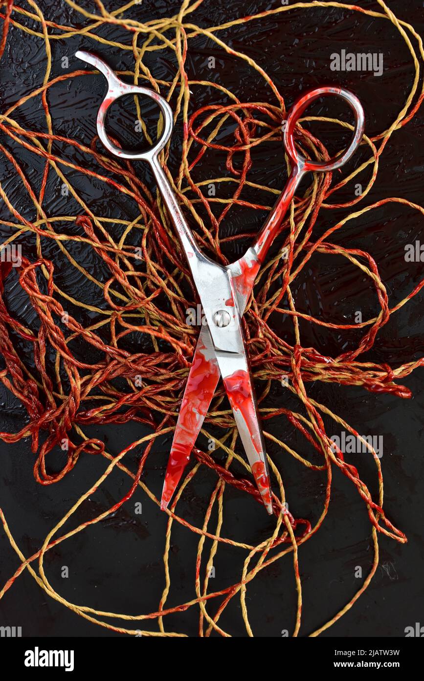 Scissor montage hi-res stock photography and images - Alamy