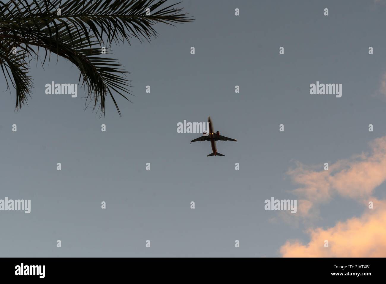 sunset on tropical beach with coconut palm trees during silhouette ...