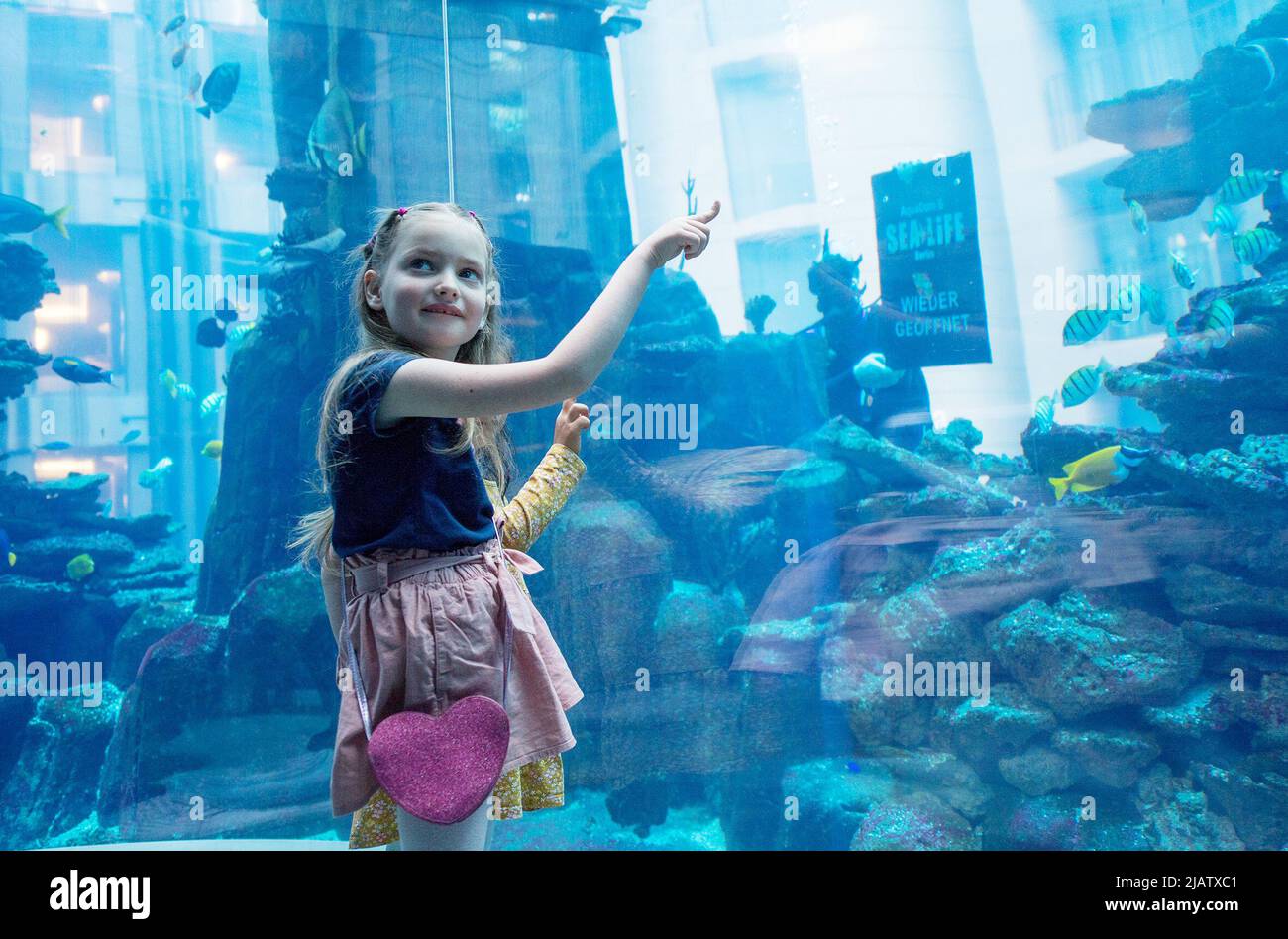 Aquadom sea life berlin hi-res stock photography and images - Alamy