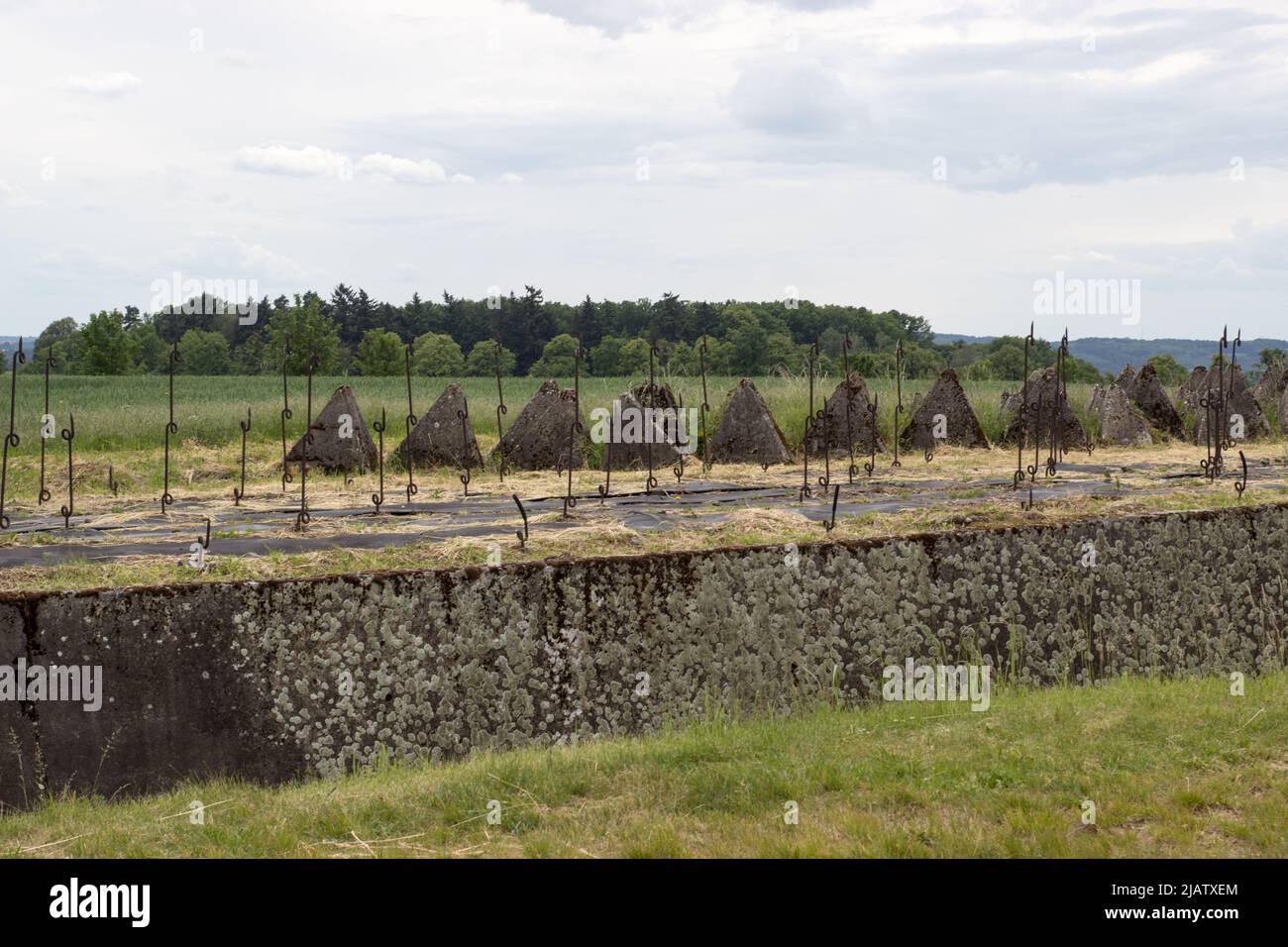 Reinforced concrete anti-tank barrier in nature from the Second World ...
