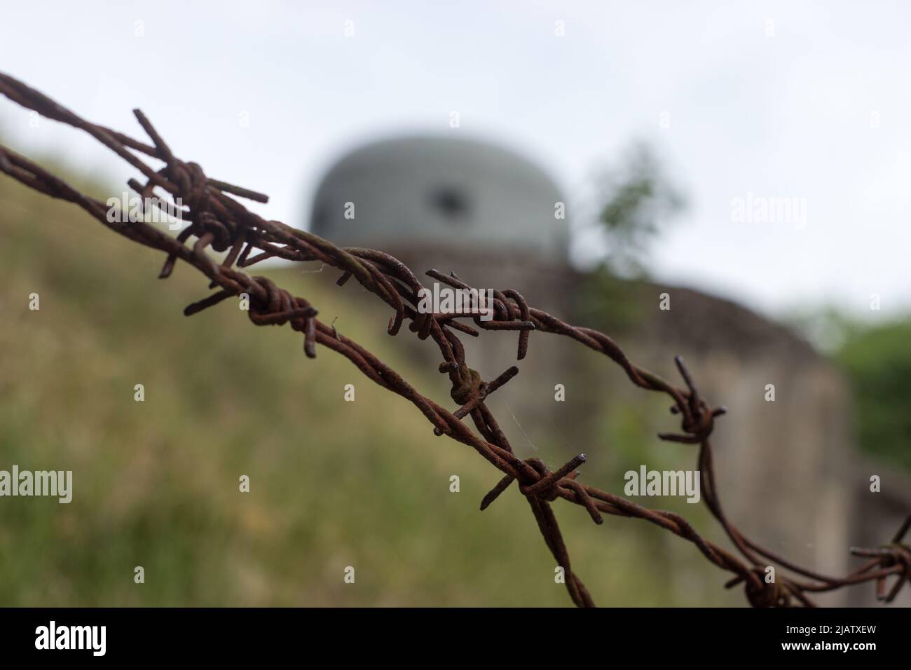 Detail of rusty barbed wire in the background is a reinforced concrete ...