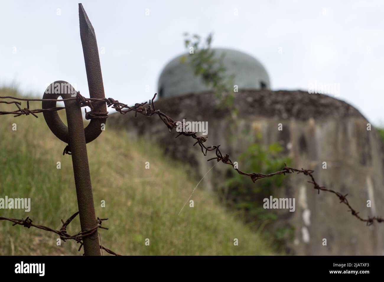 Detail of rusty barbed wire in the background is a reinforced concrete ...