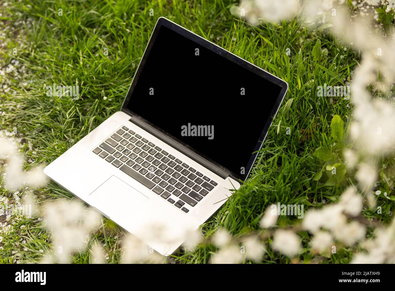 Working at home garden, laptop surrounded with green leafy potted ...