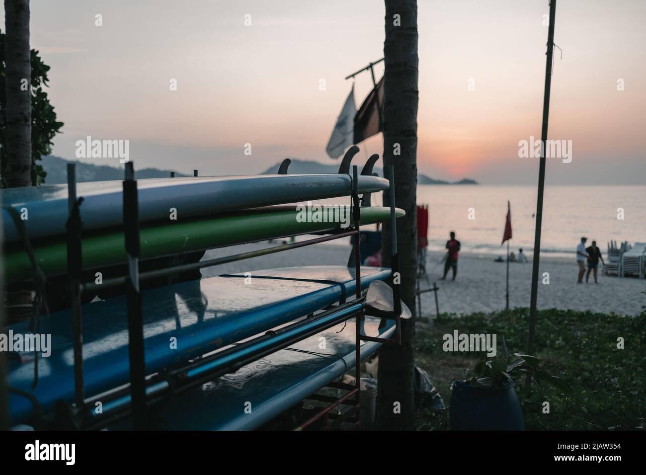 Light hitting tree hi-res stock photography and images - Alamy