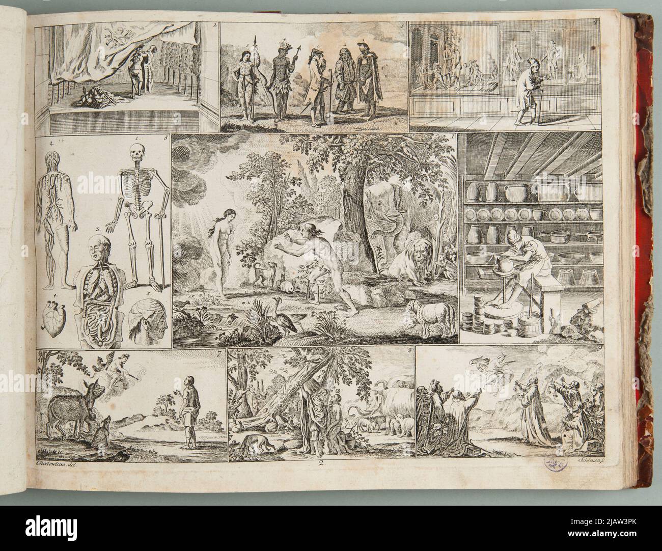 Card No. 2. Episodes from the history of the human species creating a ...