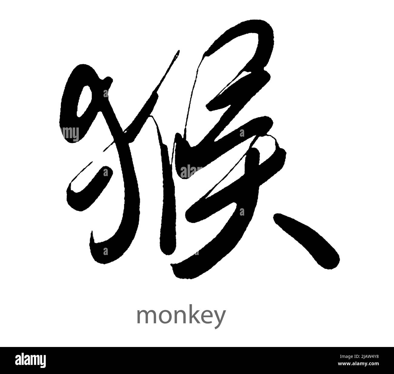 Hand drawn calligraphy of monkey word on white background, 3d rendering ...