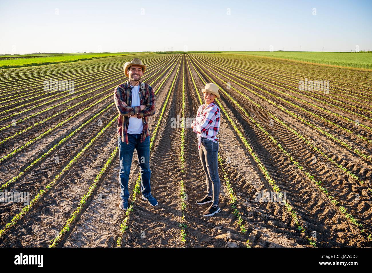 Soybean field family hi-res stock photography and images - Alamy
