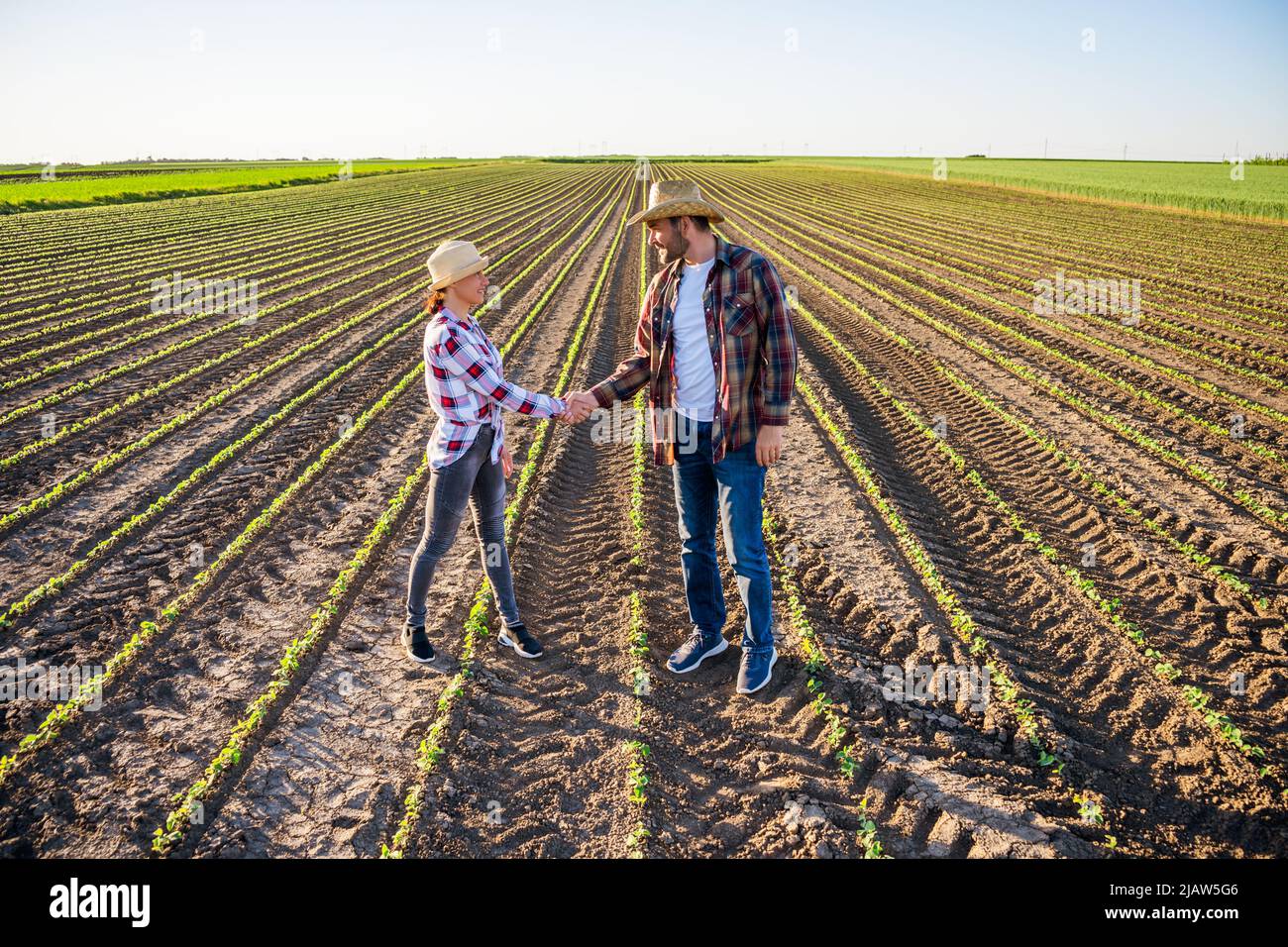 Farmers soybean field hi-res stock photography and images - Alamy