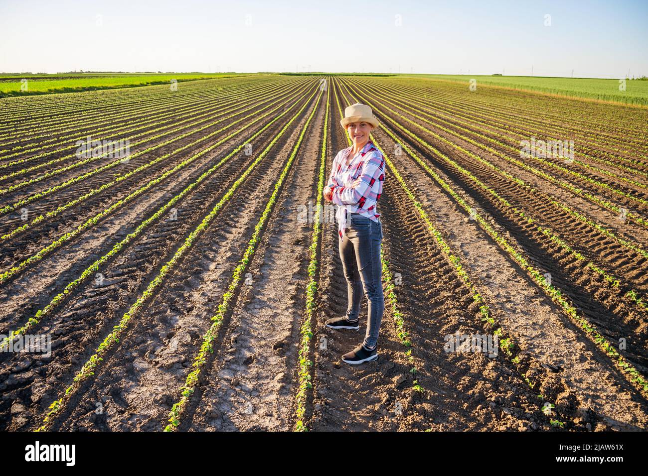 Female farmer is cultivating soybean on her land Stock Photo - Alamy
