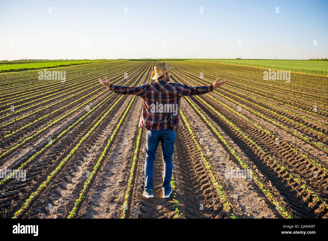 Farmer is cultivating soybean on his land Stock Photo - Alamy