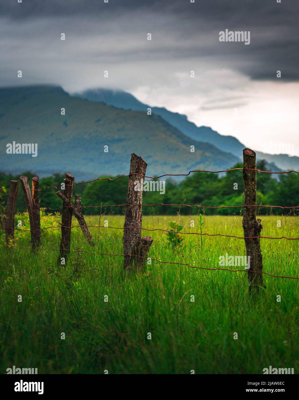rustic wire fence in a field with wooden poles against the background ...