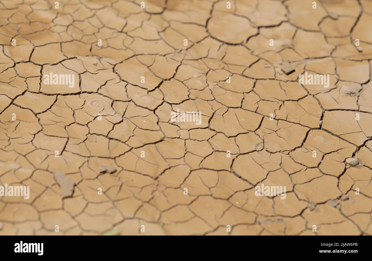 Texture of cracked dry earth, drought illustration background Stock ...