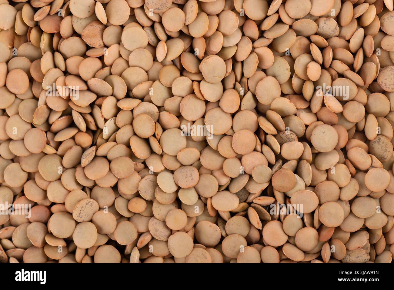 Brown lentils isolated on white background. Dry lentil grains pile. Top ...