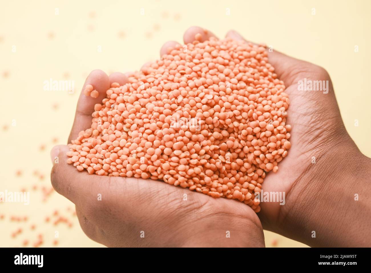 uncooked dhal on hand close up Stock Photo - Alamy