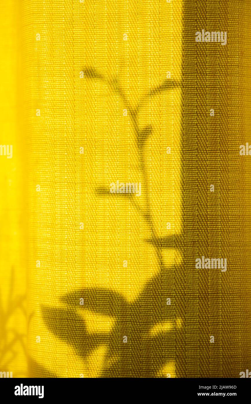Unusual shadows and silhouettes from plants on yellow textiles. Trendy ...