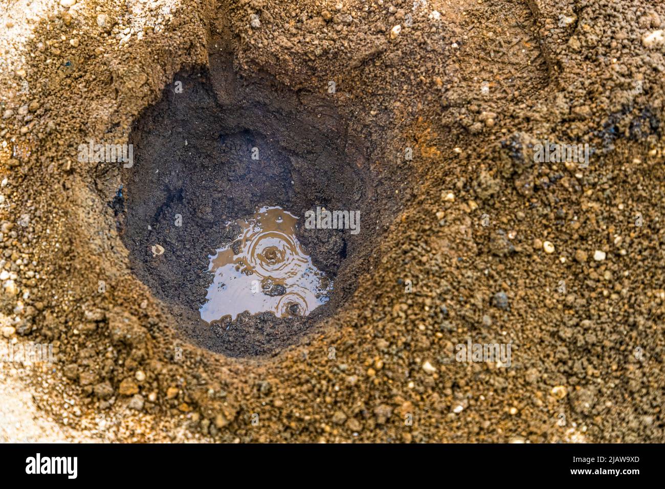 Hot springs for baking Hverabrauð, the sweet Icelandic rye bread ...