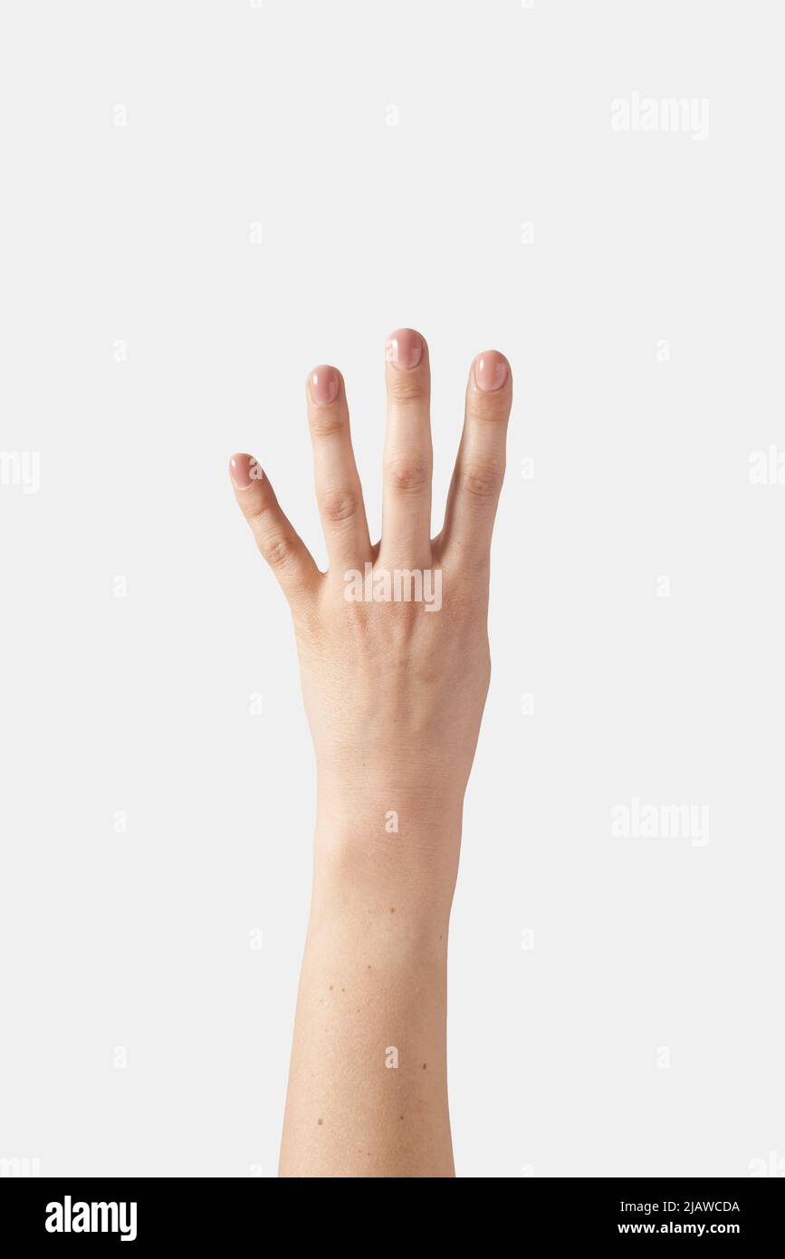 Numeric count on fingers, female outer hand with wrist in vertical ...