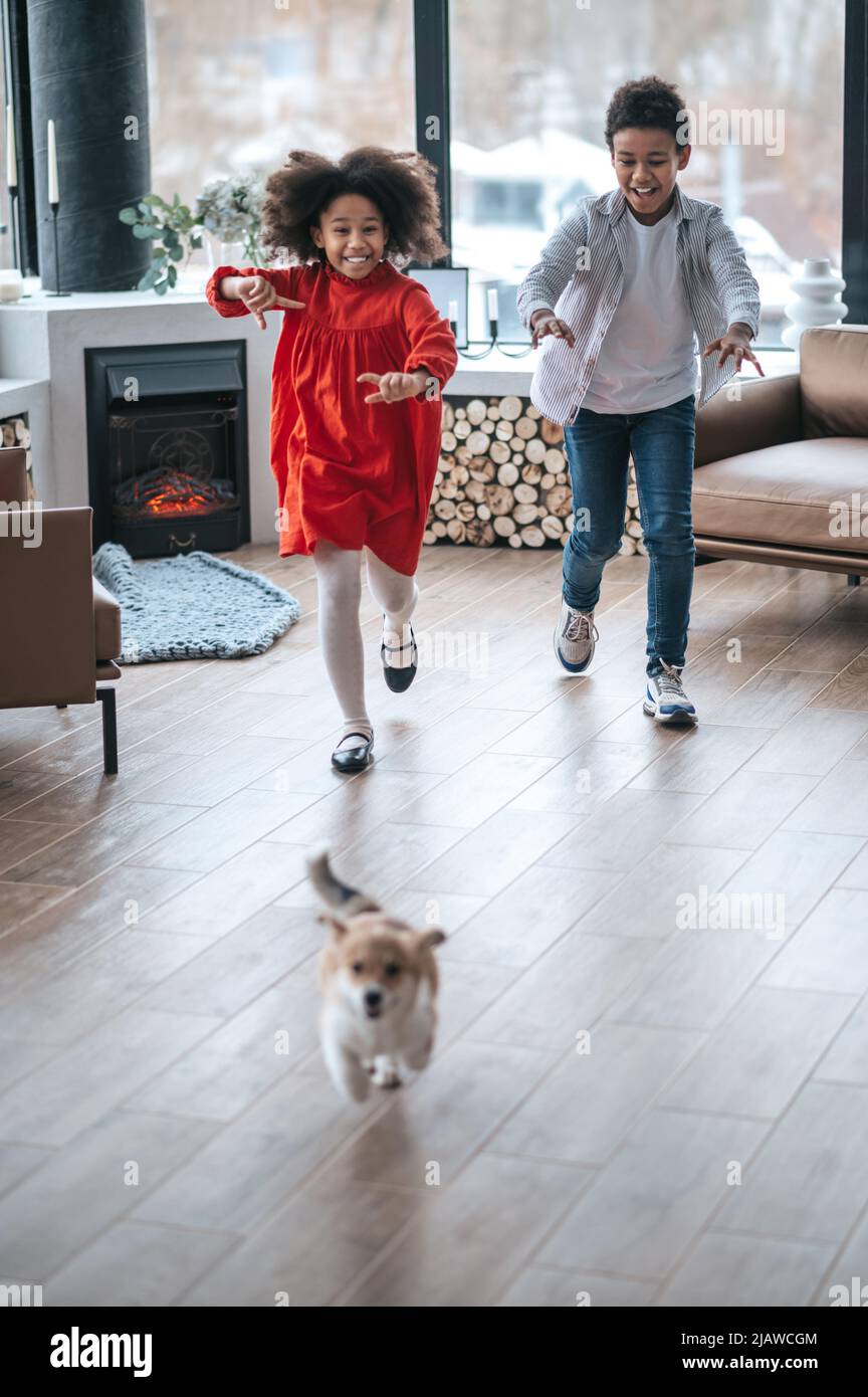 Kids looking excited while playing with the puppy Stock Photo - Alamy