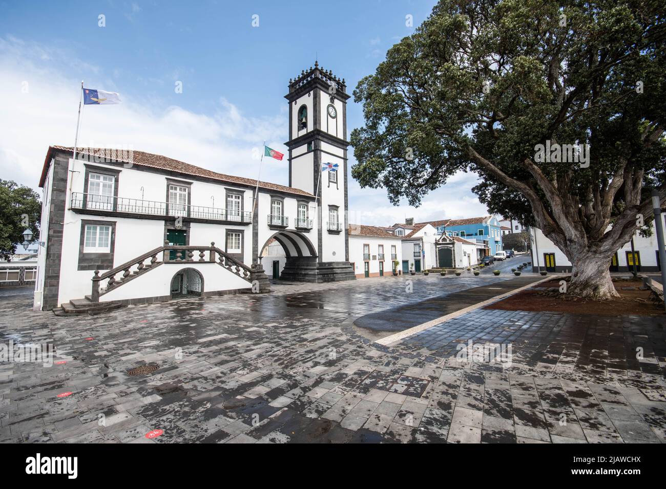 Landscapes and Views and Nature of the Azores Sao Miguel Ponta Delgada ...