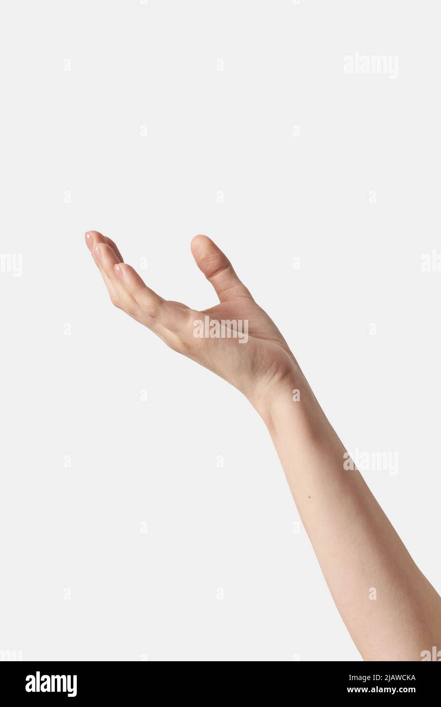 Woman hand with open palm reaching up gesturing holding something ...