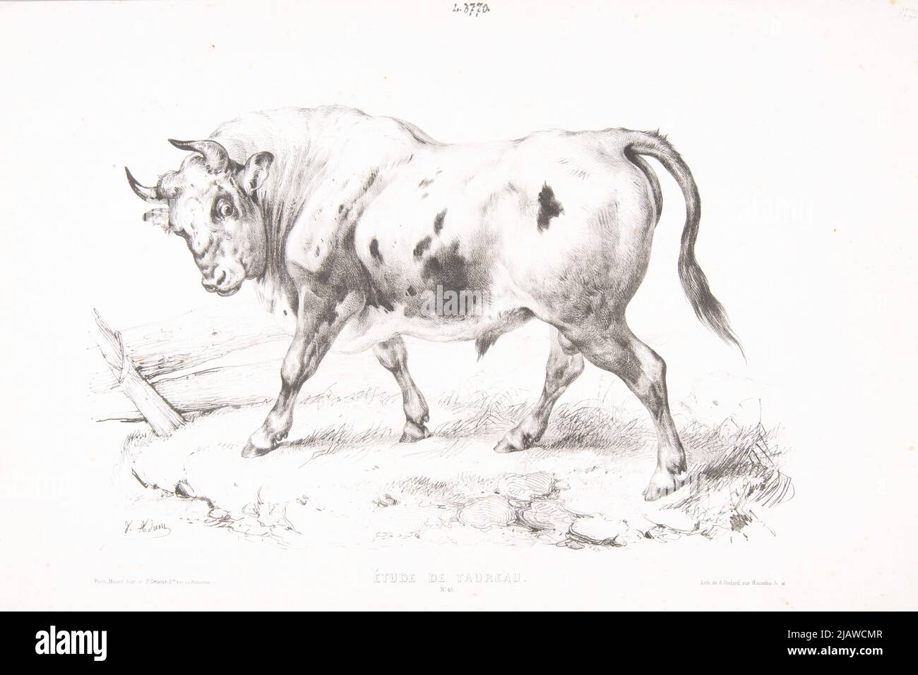 Bull Litographic Plant: Godard A. Delarue F., Adam, Victor Jean Vincent ...