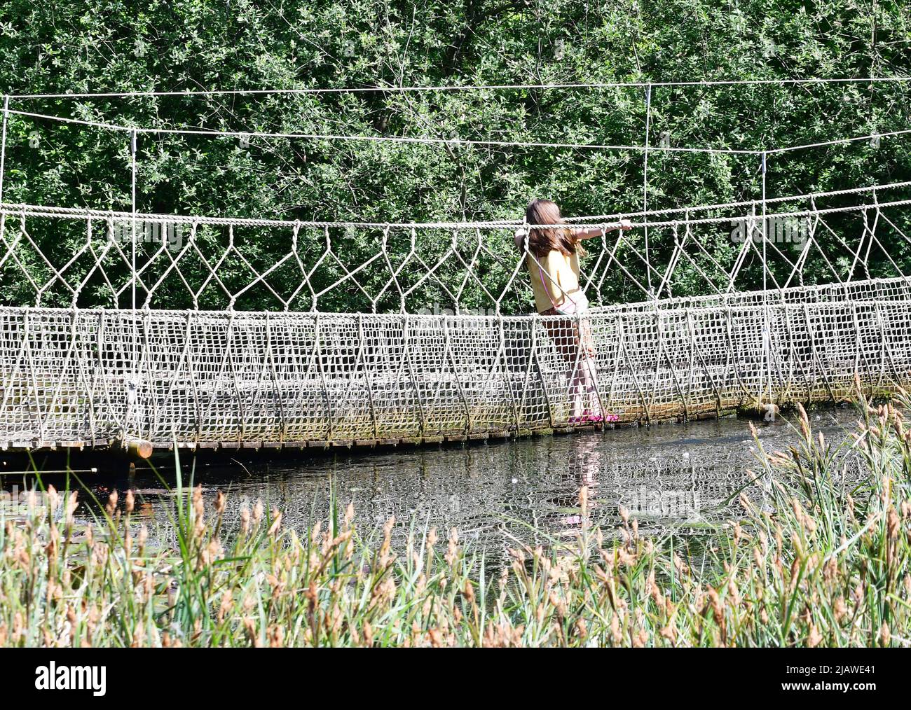Rope bridge at the London Wetland Centre, London, England, UK Stock ...
