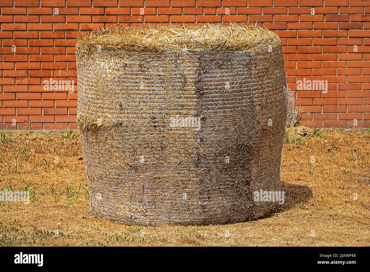 Hay roll tied in bale outside in countryside farmland Stock Photo - Alamy