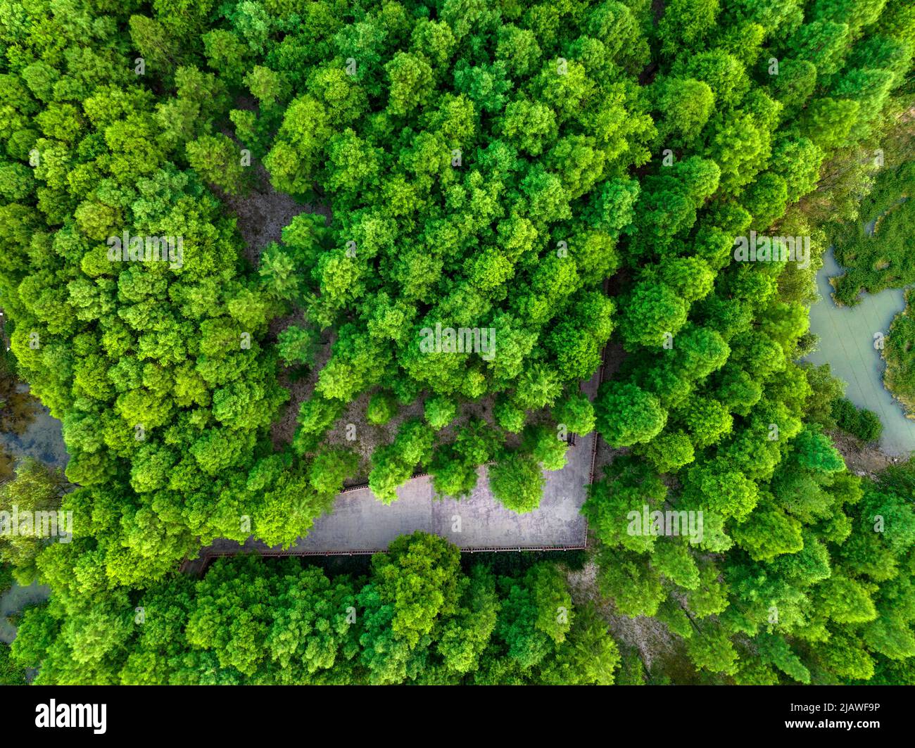 HUAI'AN, CHINA - JUNE 1, 2022 - Trees cover the ancient Huai River ...