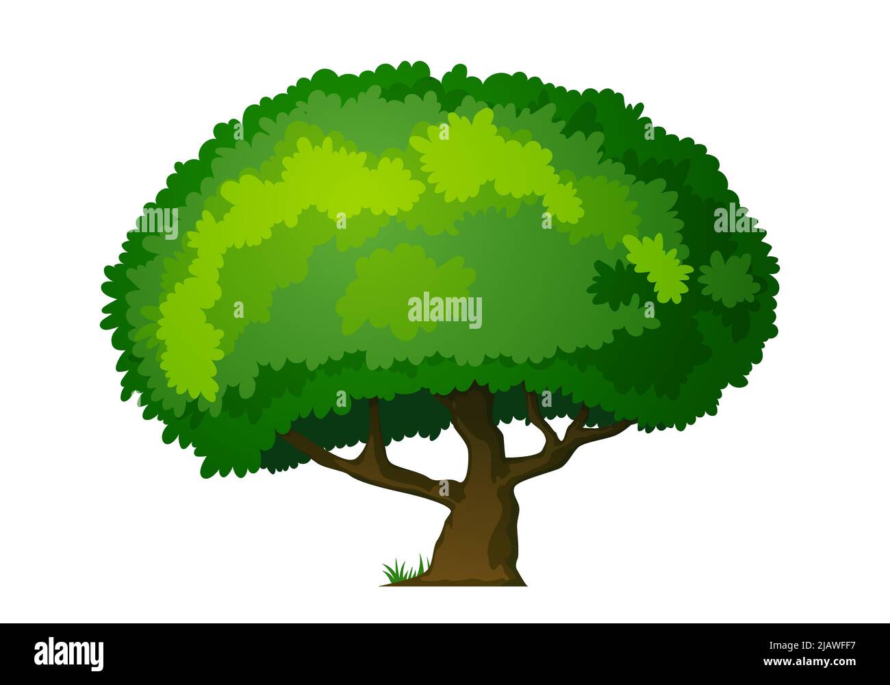Large spreading deciduous tree, hand drawn cartoon vector illustration ...