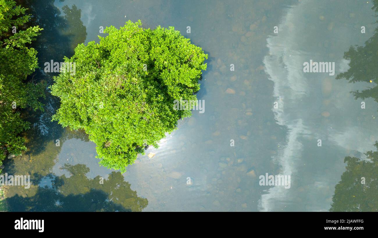 Aerial view of beautiful natural water stream and green field of grass ...