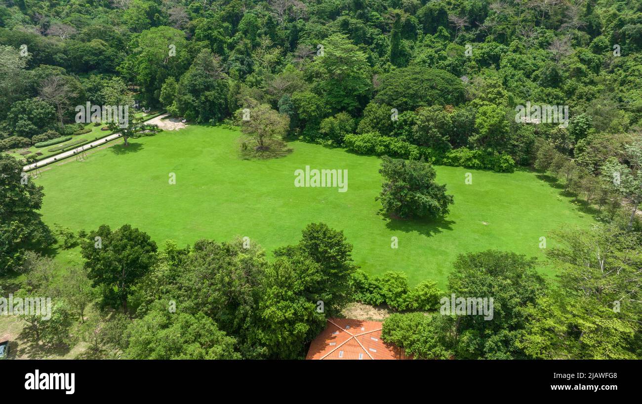 Aerial view of beautiful natural green field of grass in the wild ...