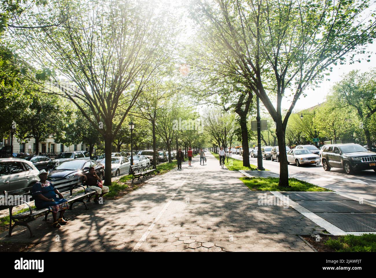 Eastern Parkway Bike Path, Crown Heights, Brooklyn, New York City, New ...