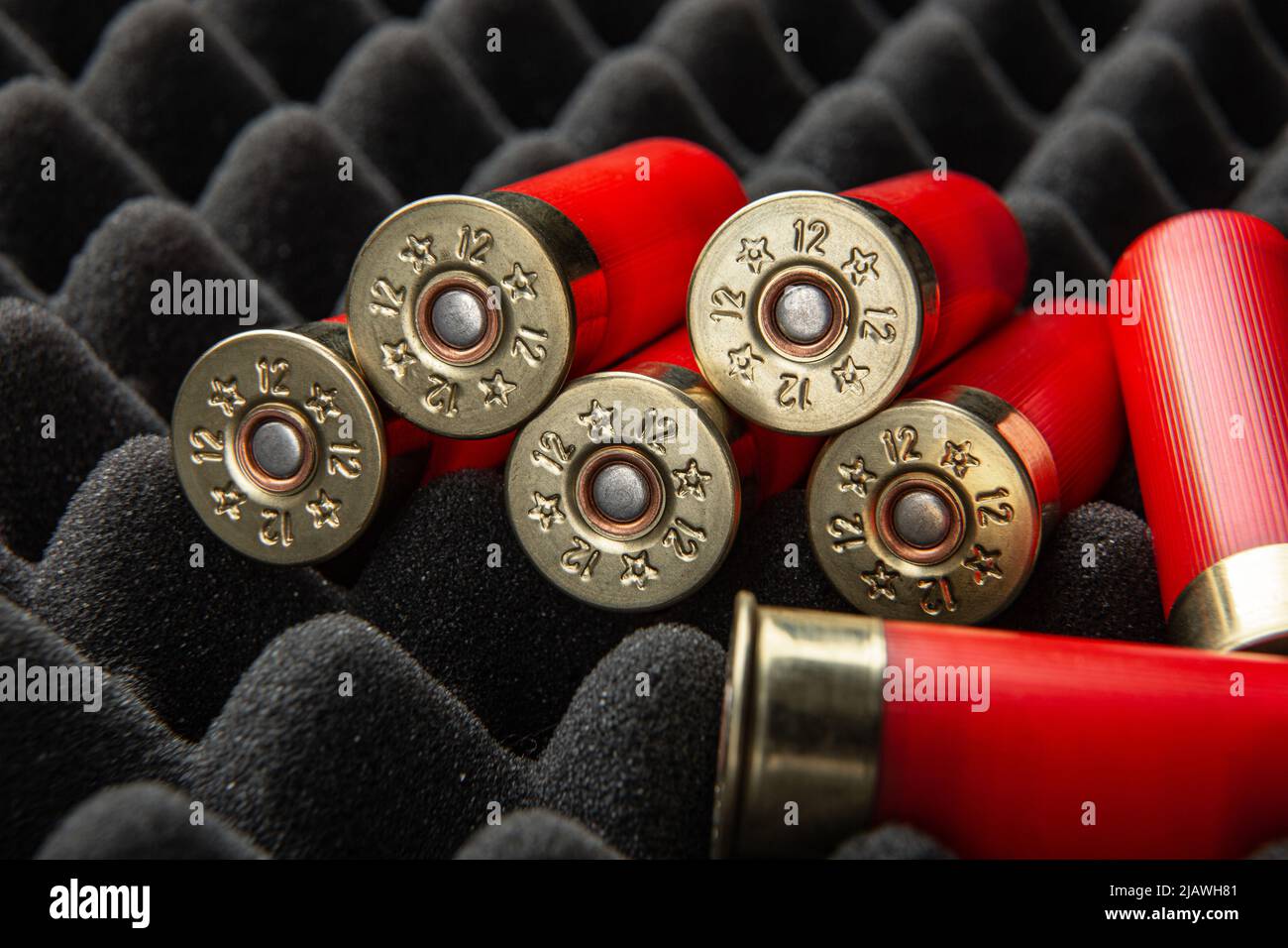 Shotgun shells on foam rubber. Ammunition for 12 gauge smoothbore ...