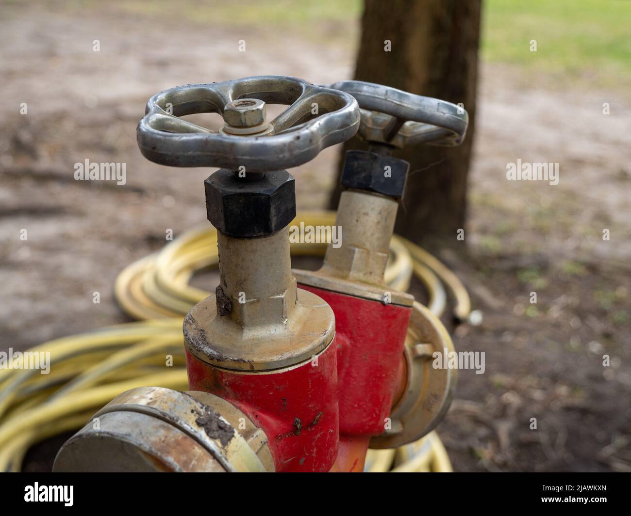 Watering hydrants in the park. Watering system Stock Photo - Alamy