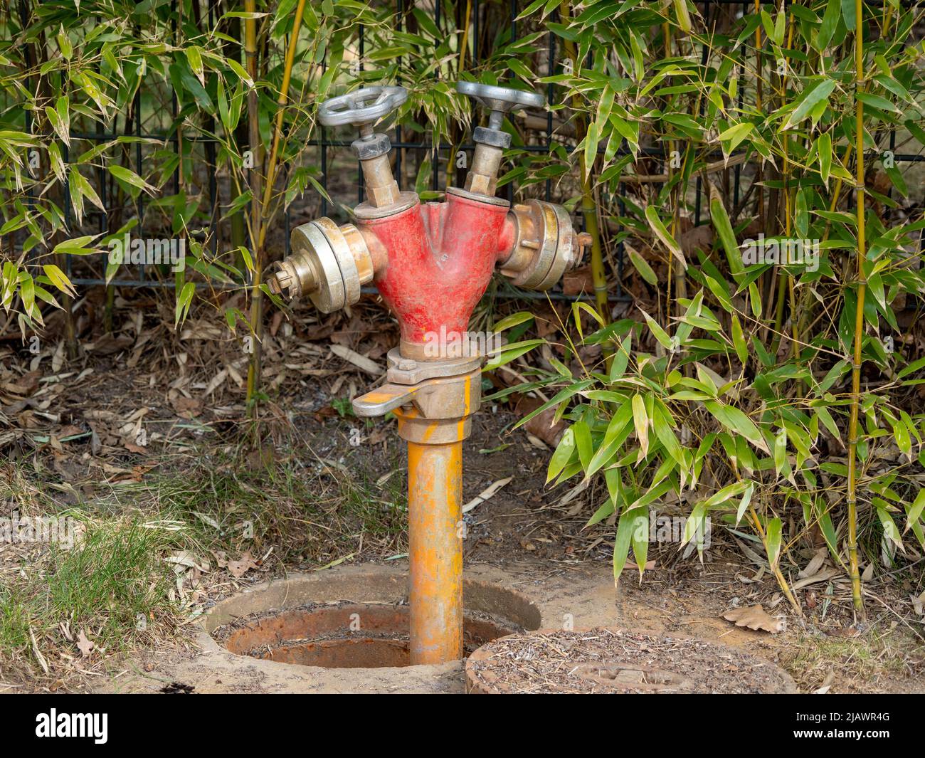 Watering hydrants in the park. Watering system Stock Photo - Alamy